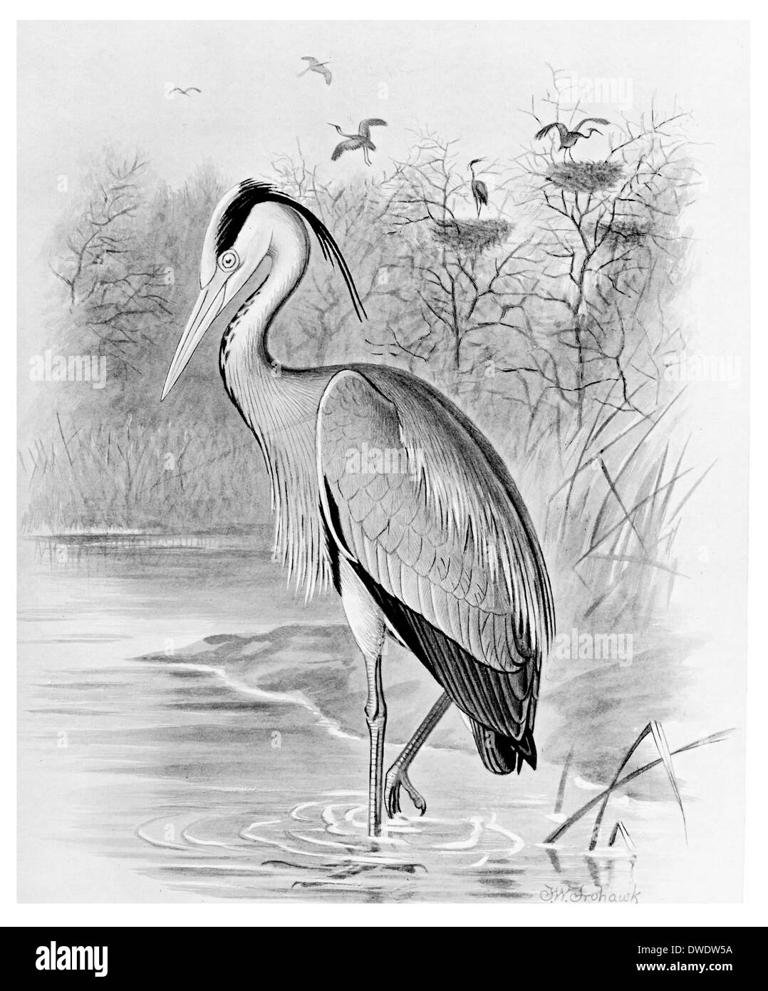 Common news Black and White Stock Photos & Images - Alamy