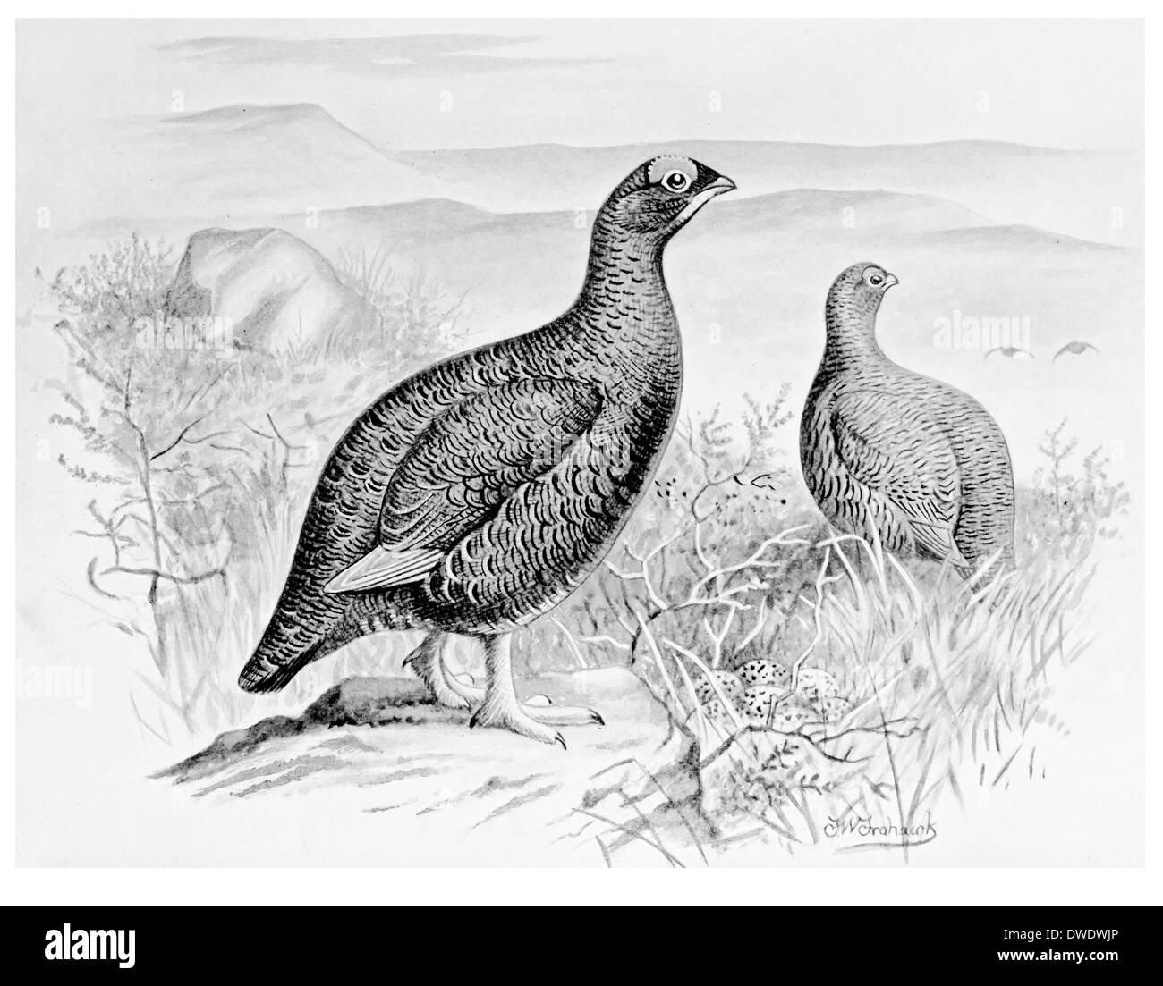 Pencil black paint red Black and White Stock Photos & Images - Alamy