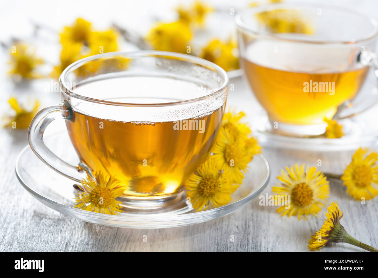 Coltsfoot tea hi-res stock photography and images - Alamy