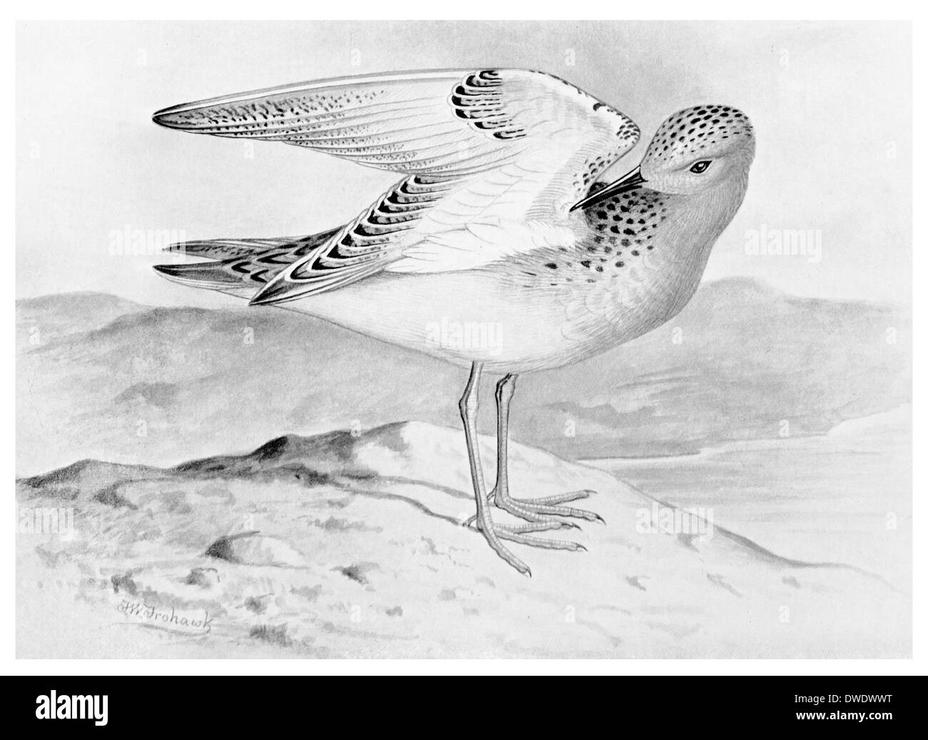 Warm buff colour hi-res stock photography and images - Alamy