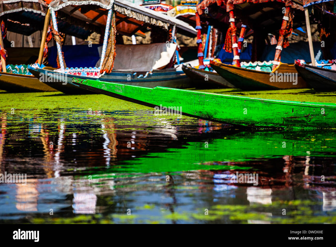 Shikara boat in Dal lake , Kashmir India Stock Photo - Alamy