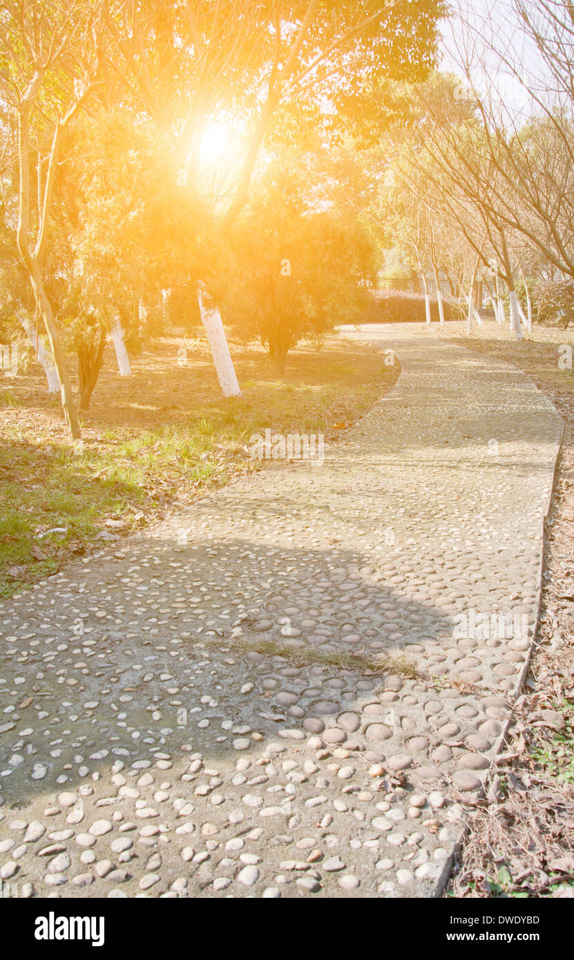 Pebble stone path walkway hi-res stock photography and images - Alamy