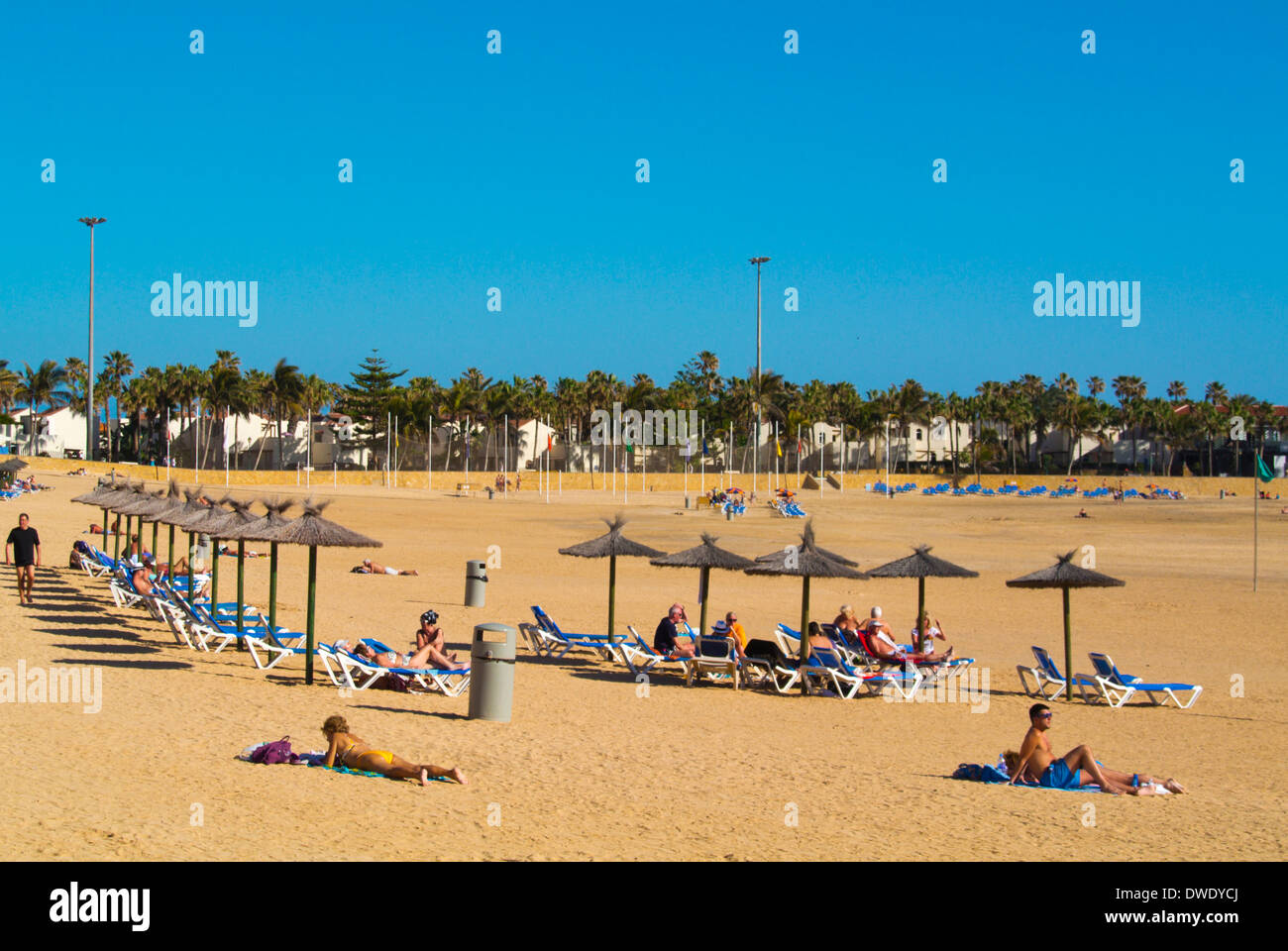 Beach caleta de fuste fuerteventura hi-res stock photography and images ...