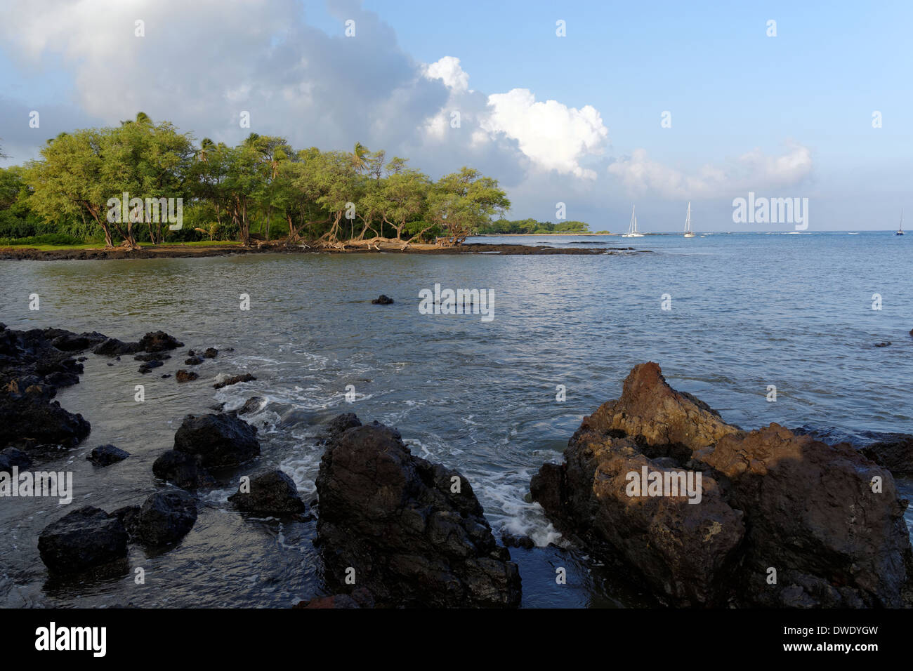 Puako Bay ,Kohala Coast, Big Island, Hawaii, USA Stock Photo - Alamy