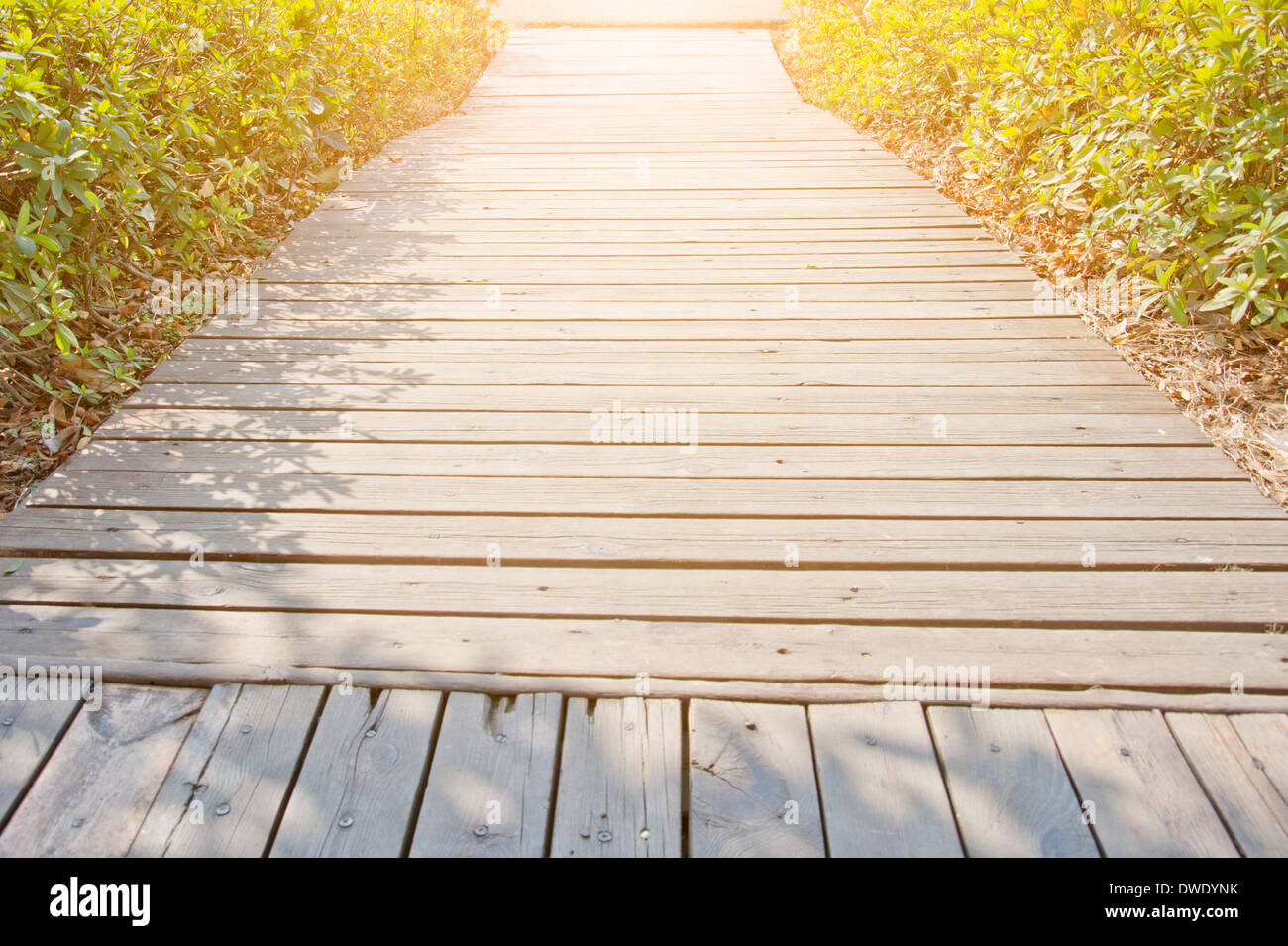 Wood lane hi-res stock photography and images - Alamy