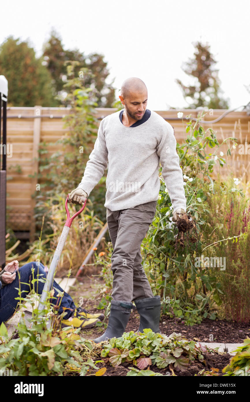 Yard ground outside outdoors daytime daylight hi-res stock photography ...