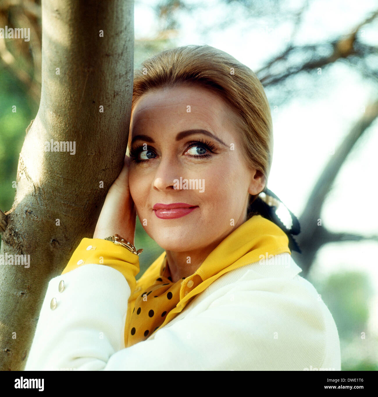 Anne Jeffreys High Resolution Stock Photography and Images - Alamy