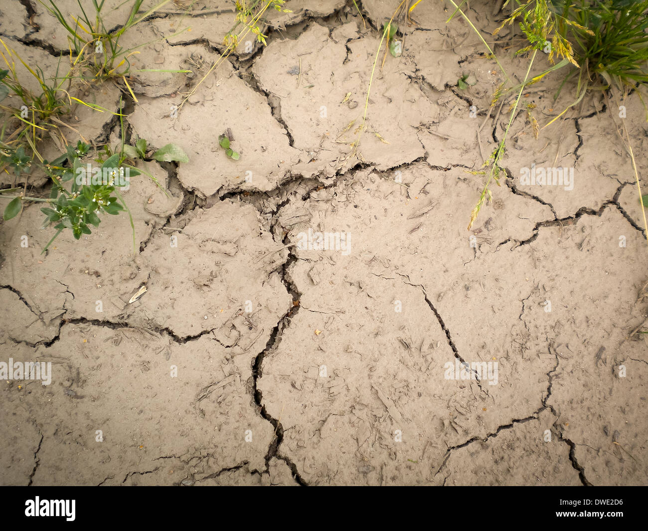 Ground fragment hi-res stock photography and images - Alamy