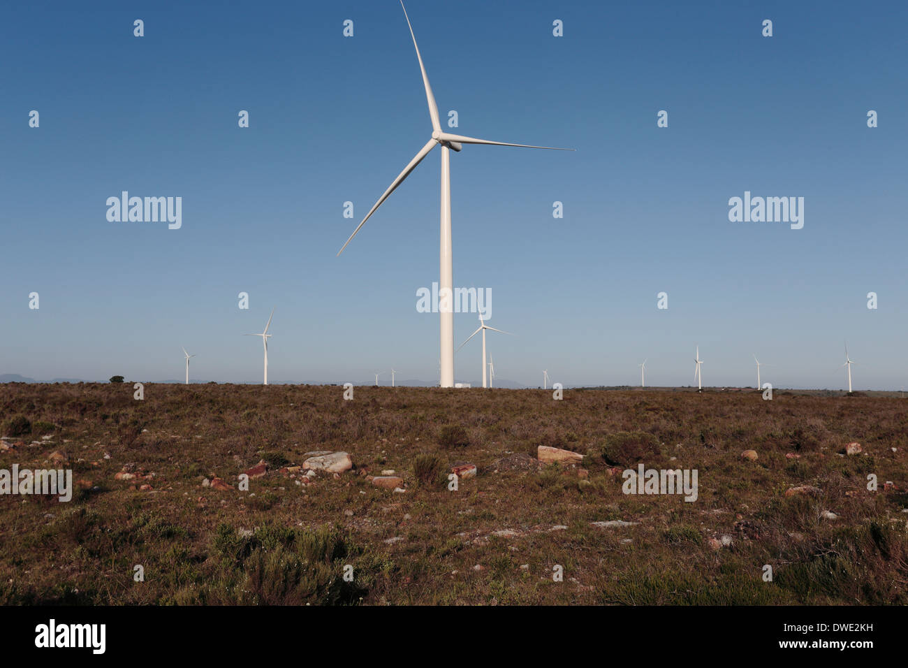 Wind power farm south africa hi-res stock photography and images - Alamy