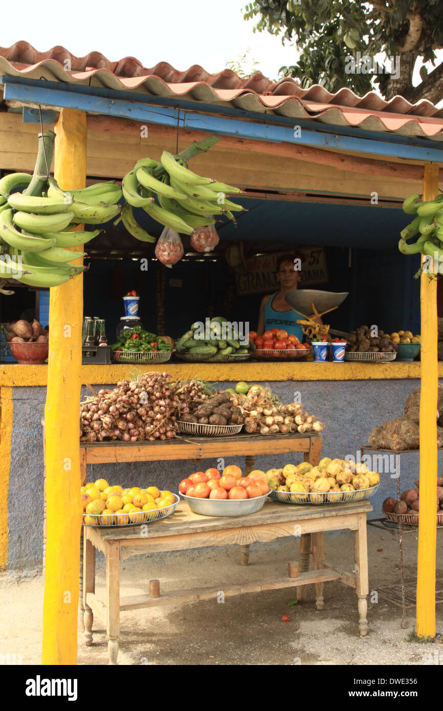 Cuban fruits hi-res stock photography and images - Alamy