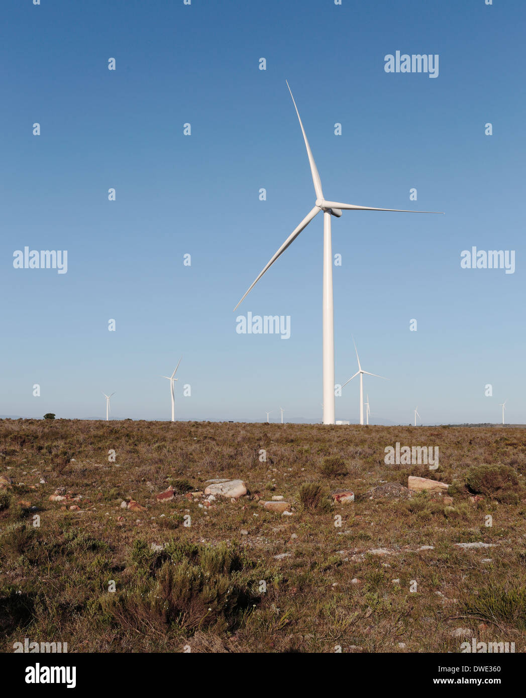 Wind turbines - wind farm close to Humansdorp, Eastern Cape Province ...