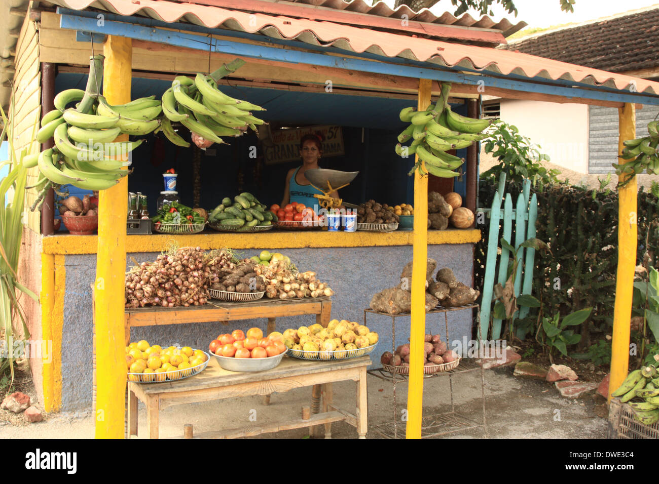 Cuban fruits hi-res stock photography and images - Alamy