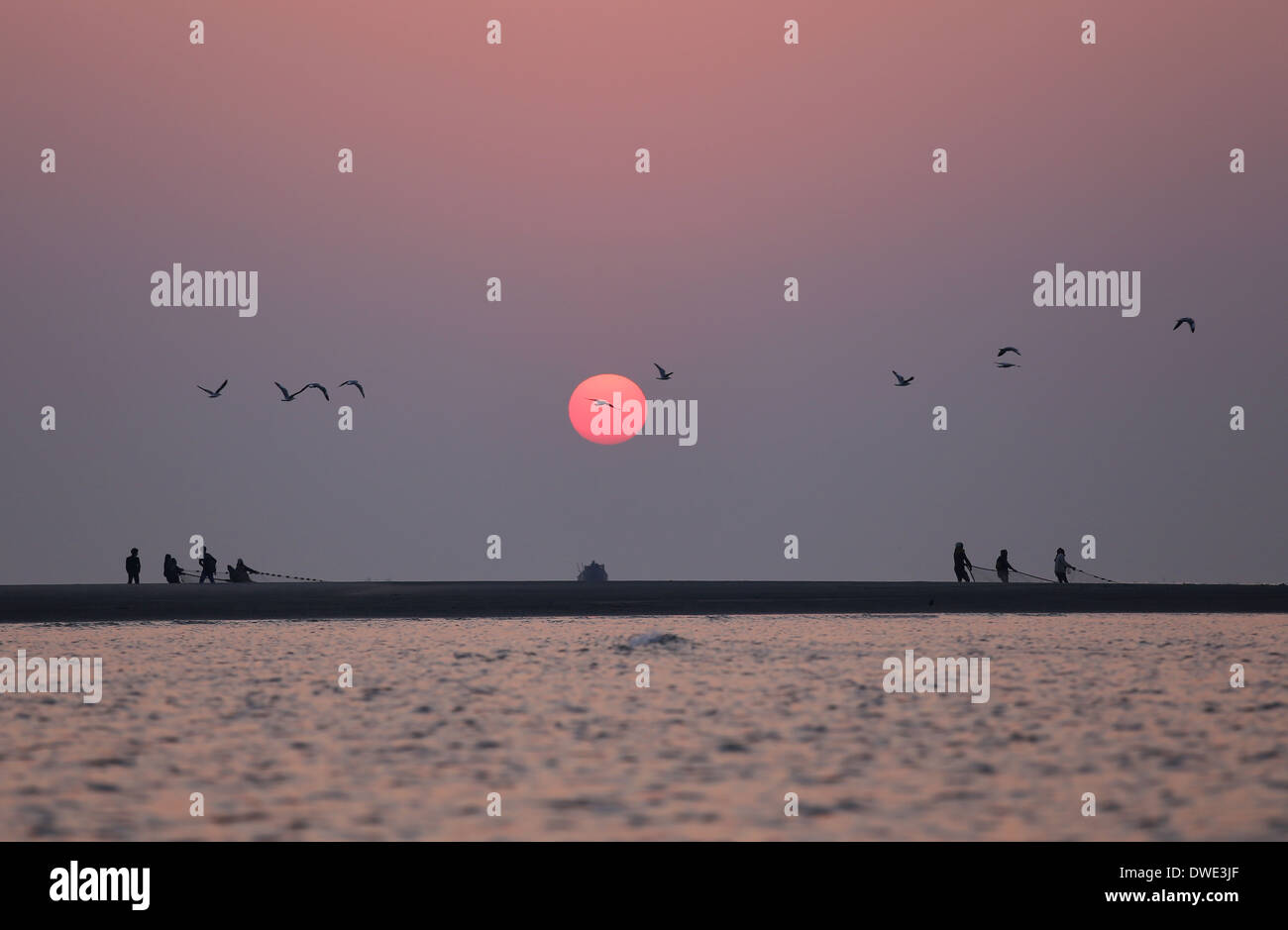 Sunrise on seashore with flying birds in Kuakata, Bangladesh Stock ...