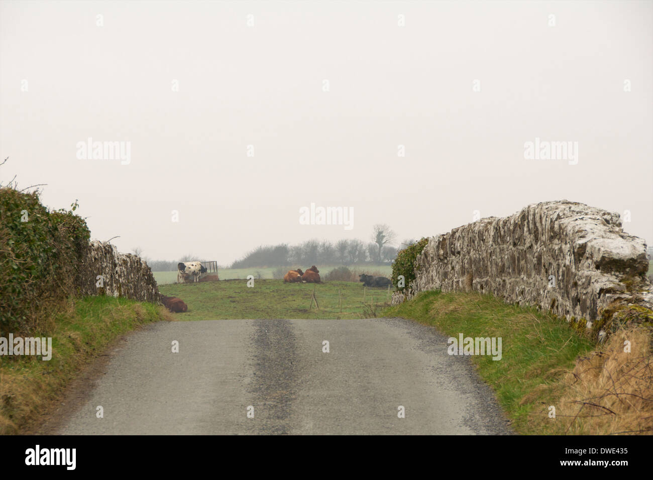 Hump back bridge hi-res stock photography and images - Alamy