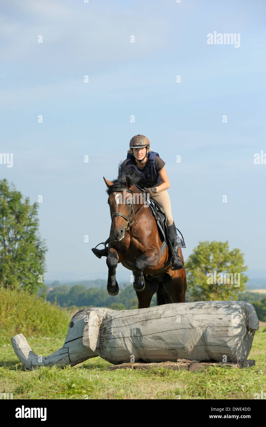 Connemara pony jumping hi-res stock photography and images - Alamy