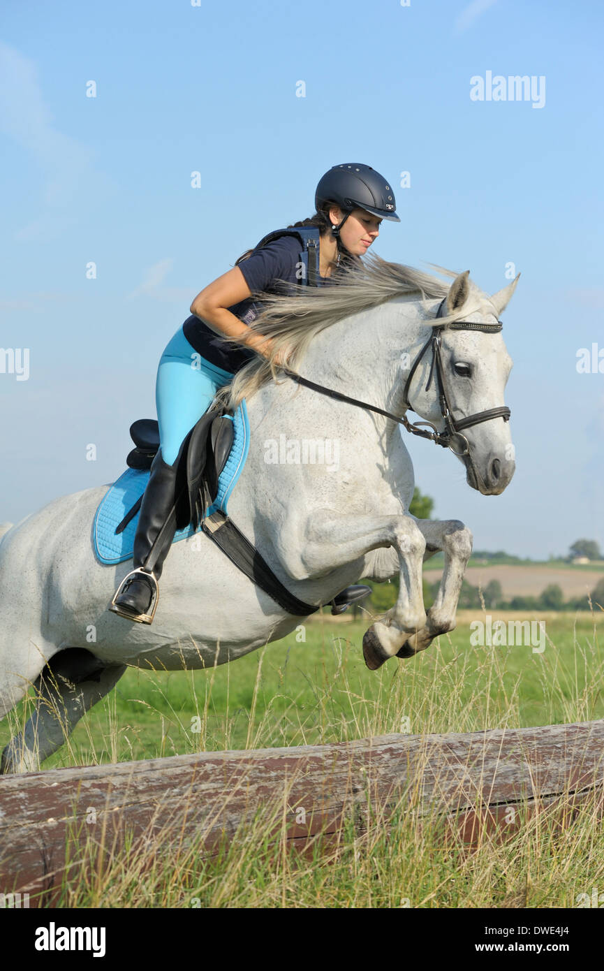 Connemara pony jumping hi-res stock photography and images - Alamy