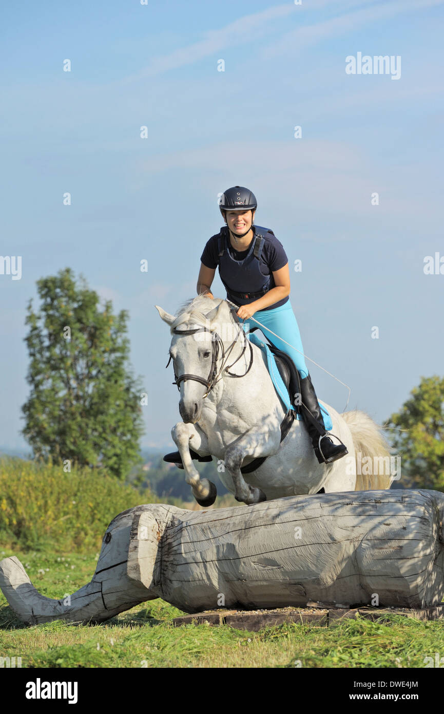 Connemara pony jumping hi-res stock photography and images - Alamy