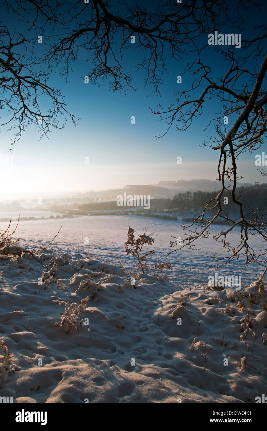 A rural snow scene framed by trees in Calverton, Nottinghamshire ...