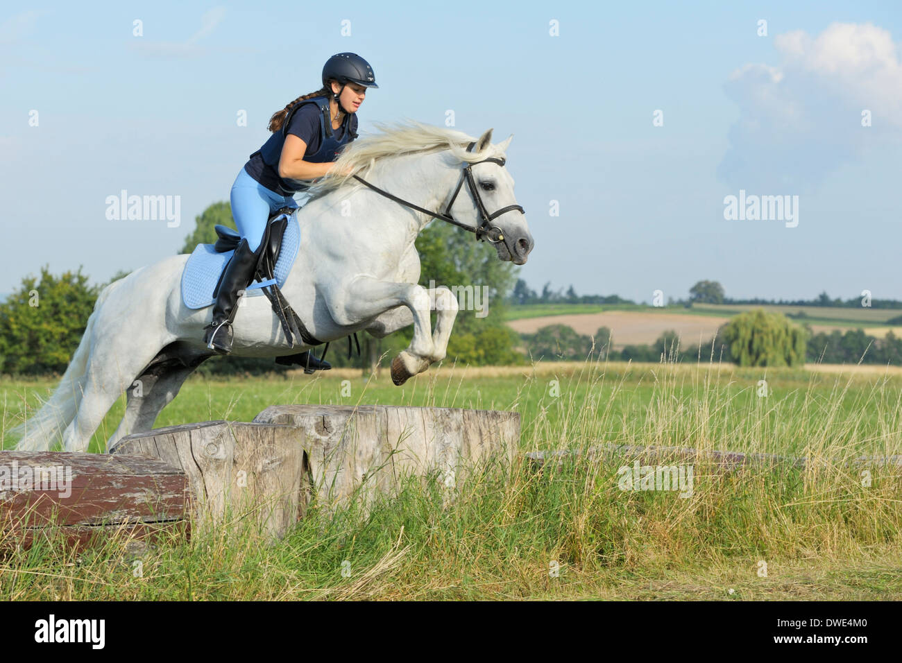 Connemara pony jumping hi-res stock photography and images - Alamy