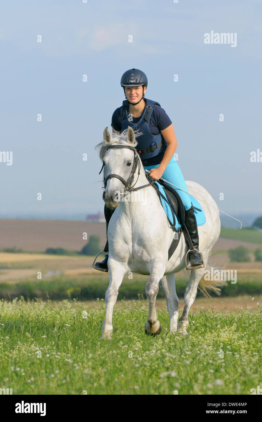 Rider on back of a Connemara pony galloping in a meadow Stock Photo - Alamy