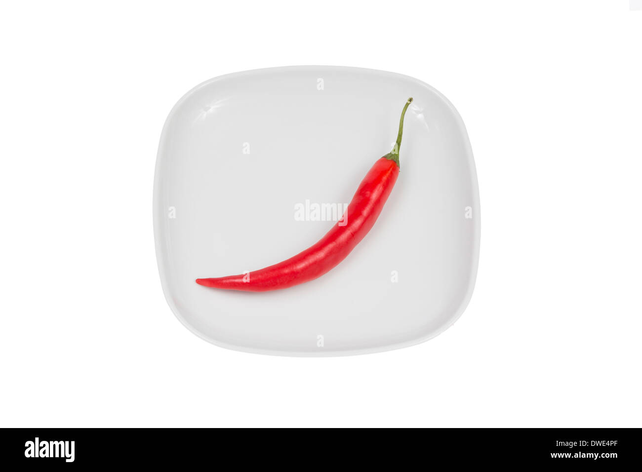 A single red chilli on a white plate isolated on white background Stock ...