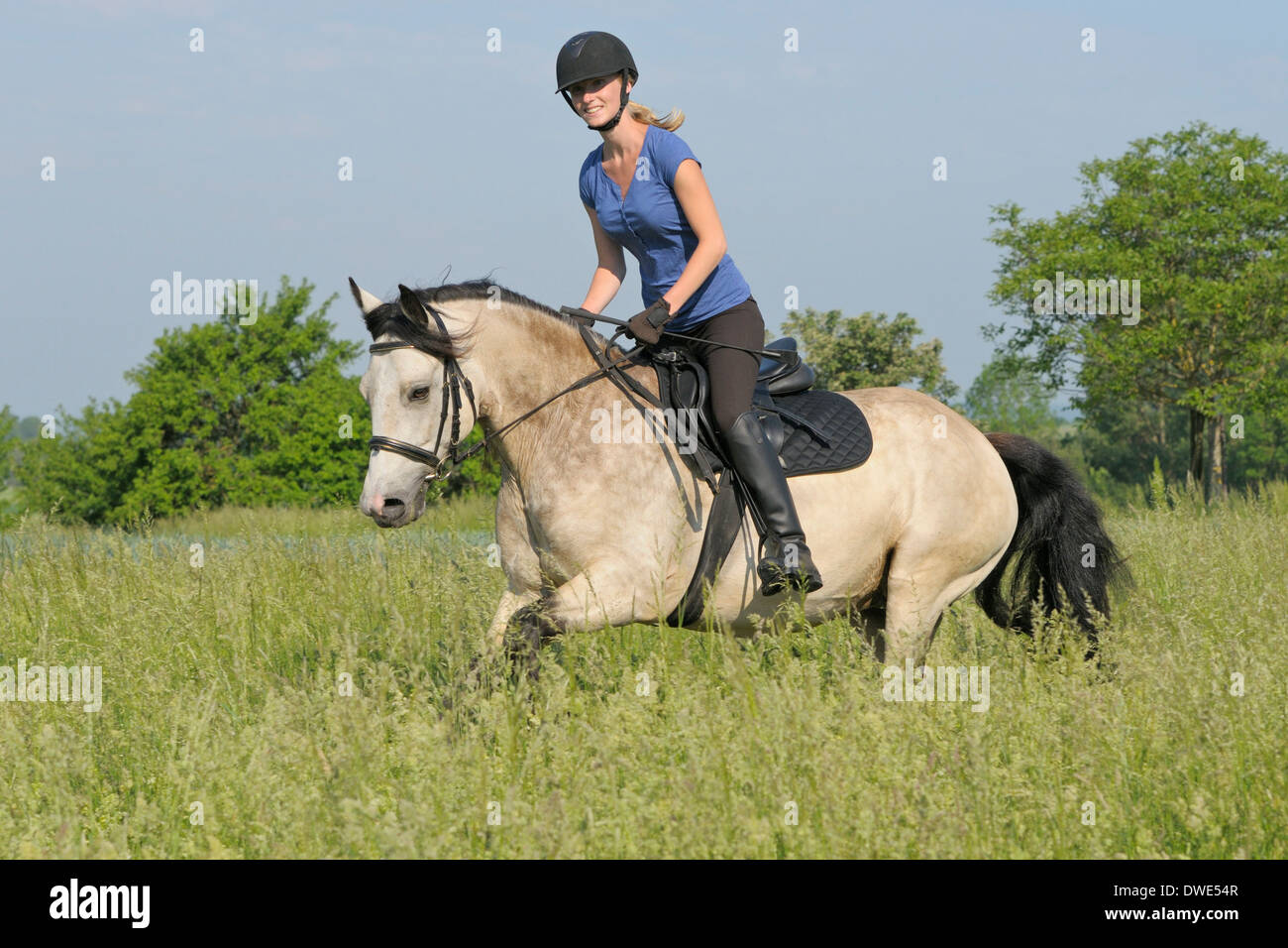 Young rider back connemara pony hi-res stock photography and images - Alamy