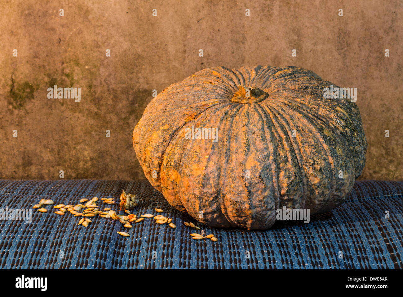 Still Life - Pumpkin And Pumpkin Seeds Stock Photo - Alamy
