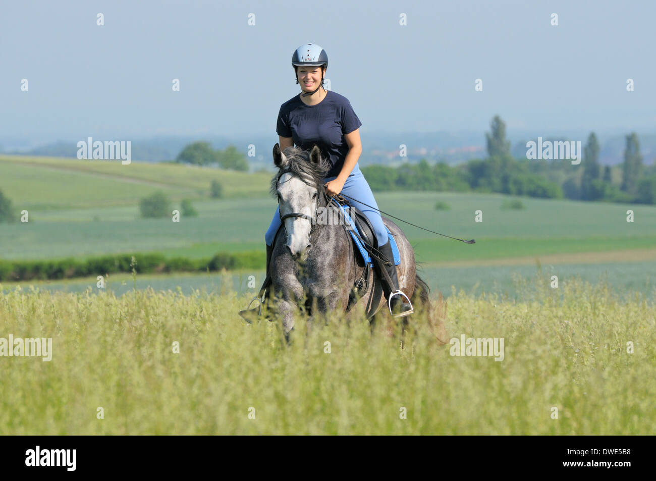 Young rider back connemara pony hi-res stock photography and images - Alamy