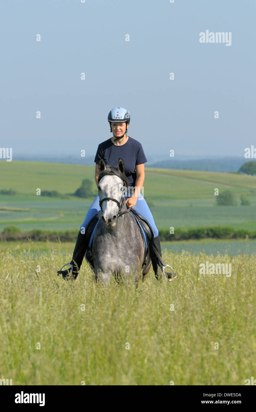 Young rider on back of a Connemara pony mare galloping in a meadow ...