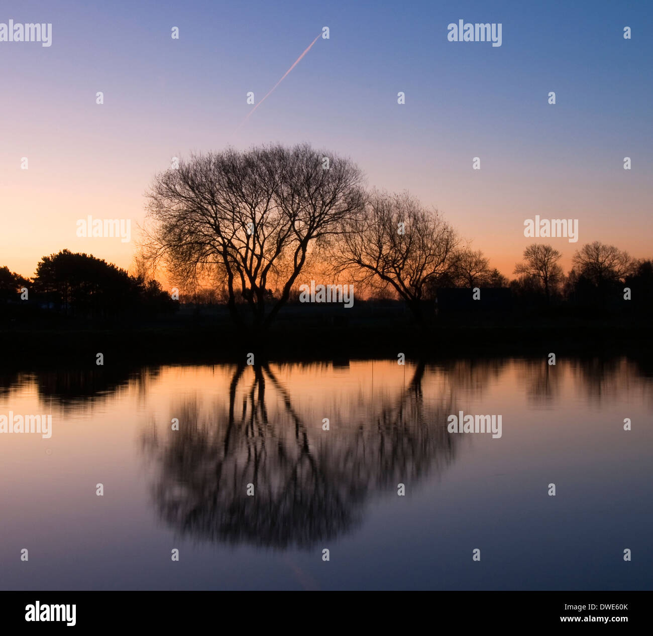 Trees reflected in the River Trent at sunrise, Colwick Park Nottingham ...