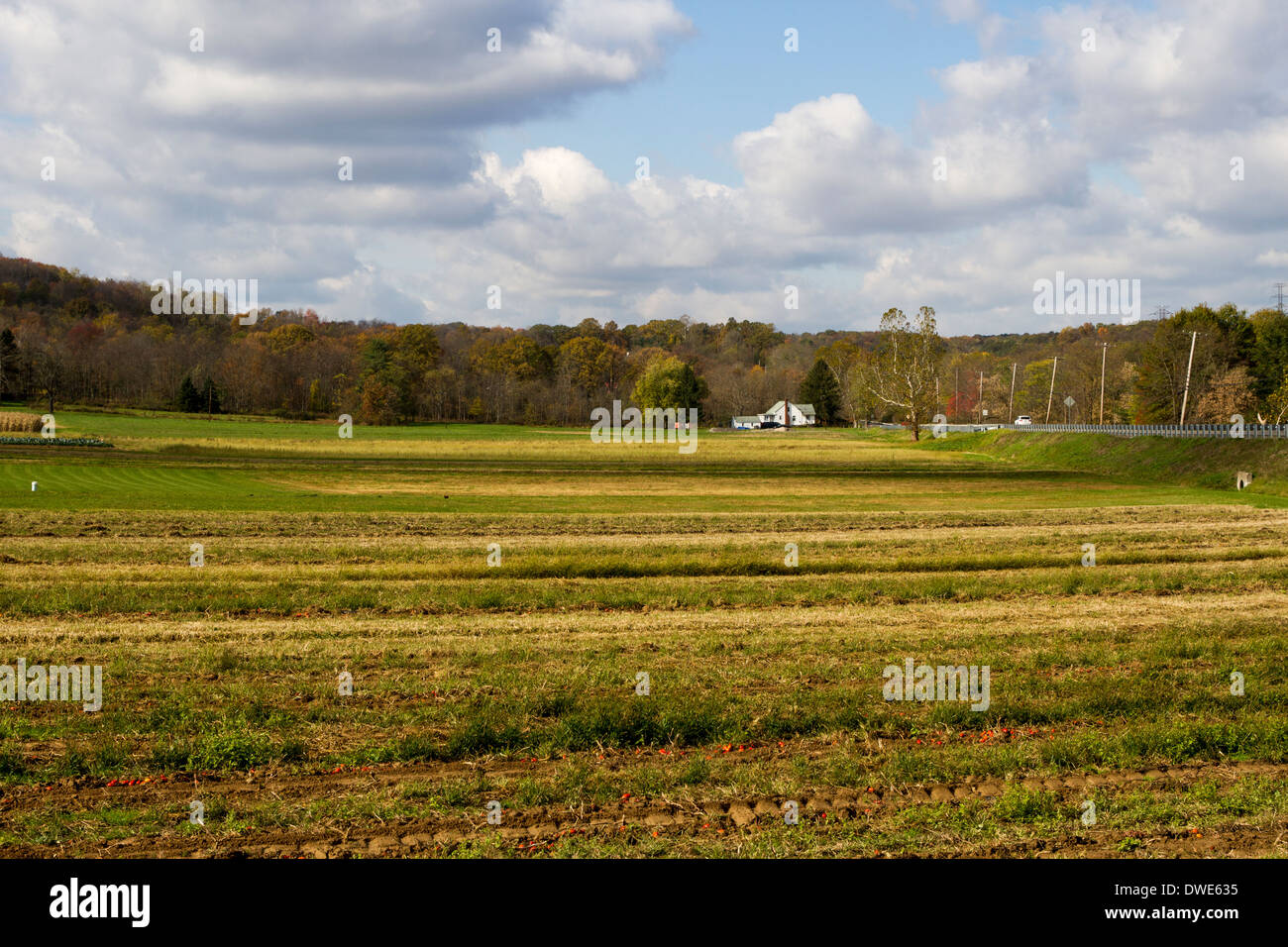 The McDonald Farm Stock Photo - Alamy