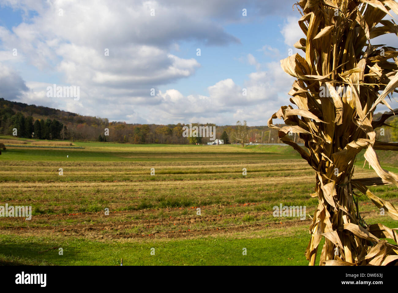 The McDonald Farm Stock Photo - Alamy