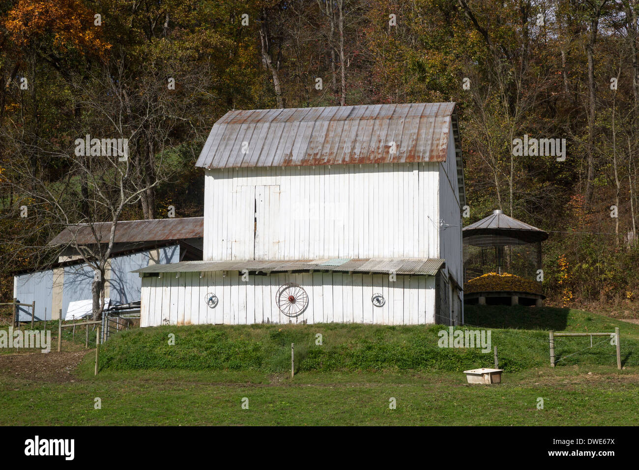 Mcdonald farm hi-res stock photography and images - Alamy