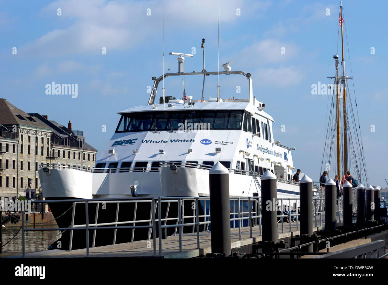 Whale watch boat, Long Wharf, Boston, Massachusetts Stock Photo - Alamy