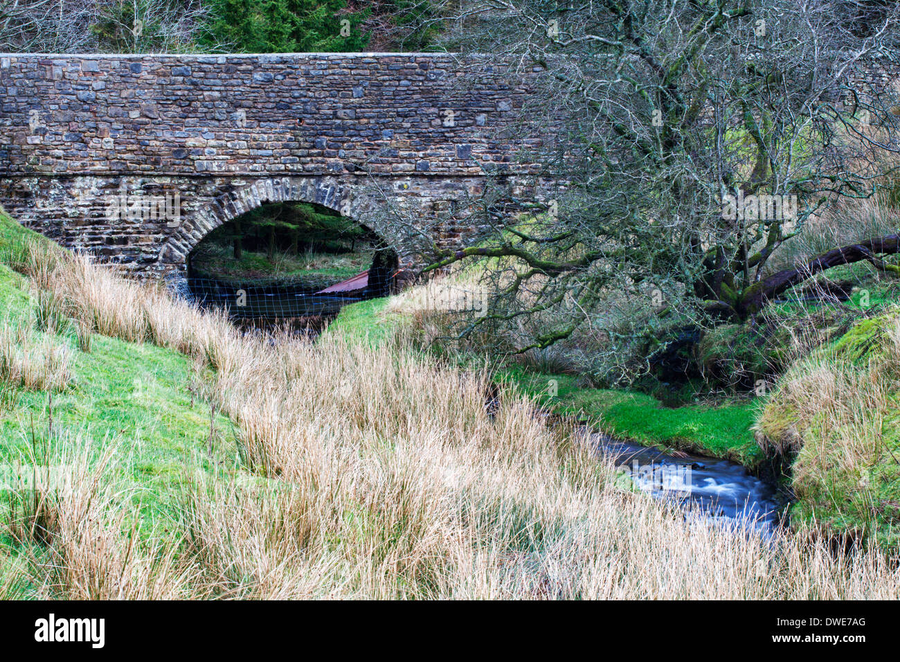 Beck Bridge High Resolution Stock Photography and Images - Alamy