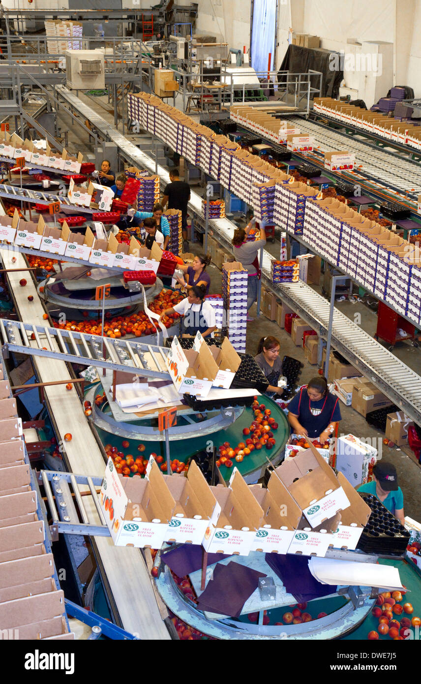 Workers produce hi-res stock photography and images - Alamy