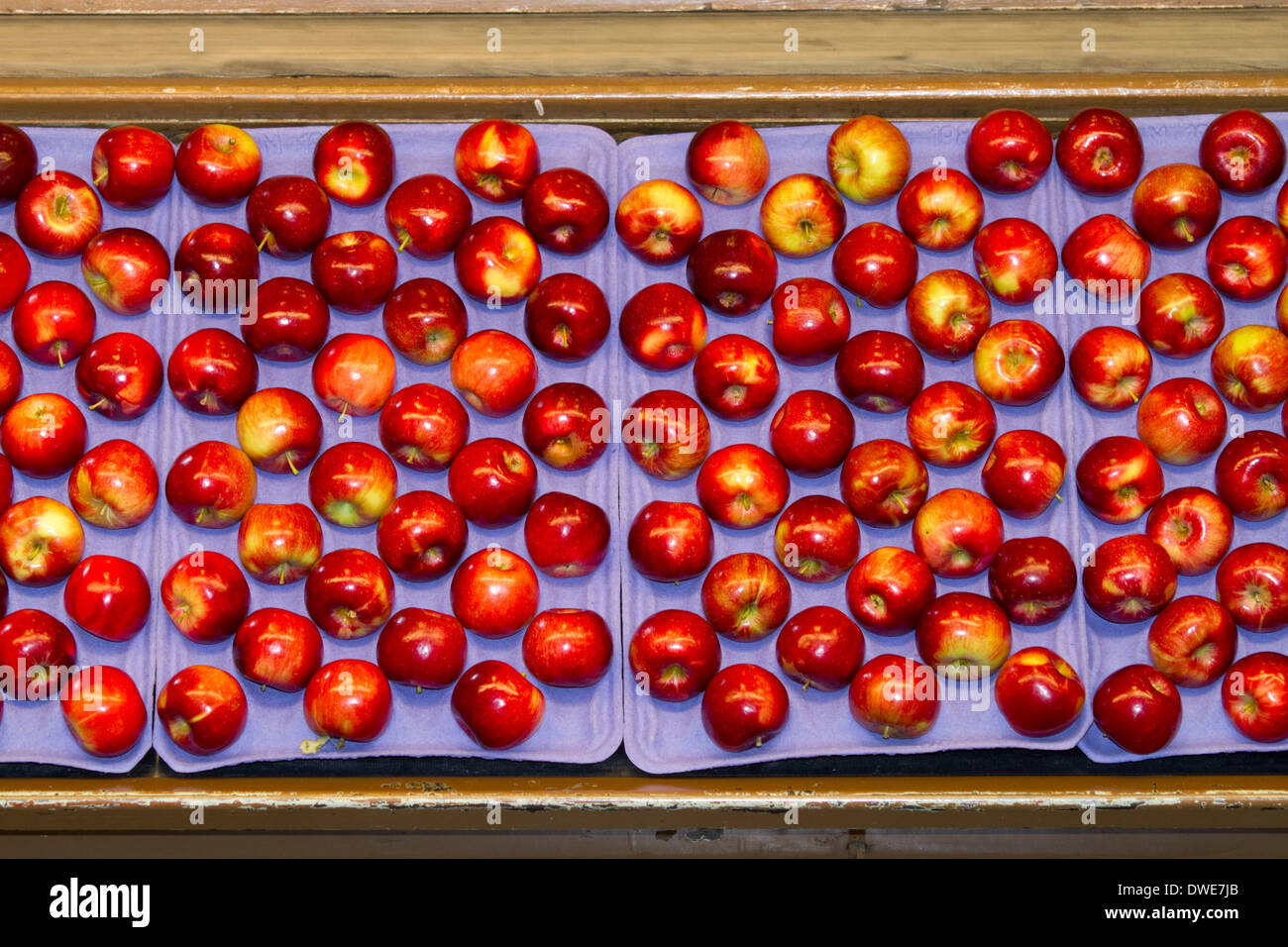 Packaging fruit hi-res stock photography and images - Alamy