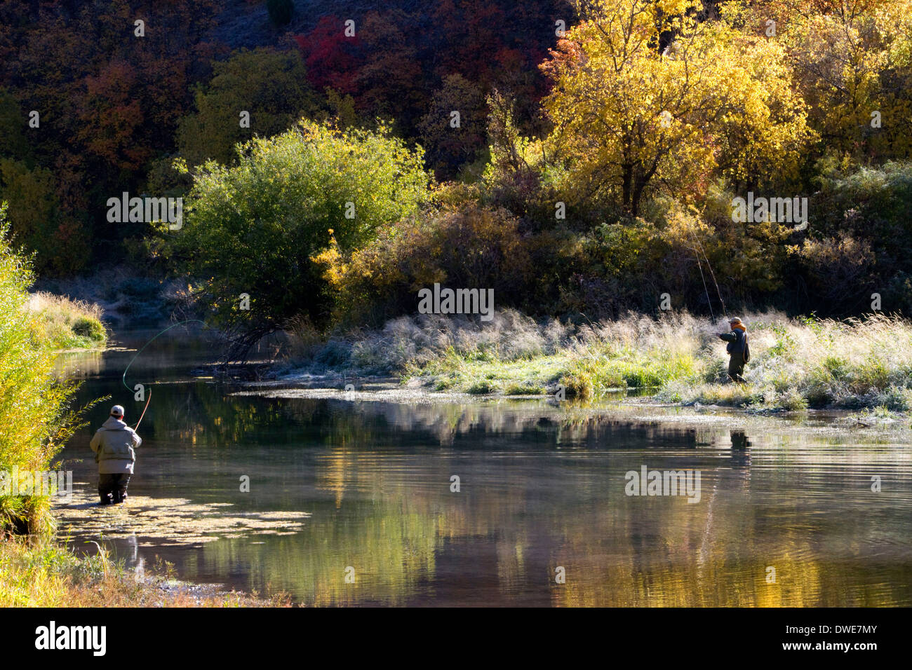An angler fly fishing on the Logan River in Logan Canyon, Utah, USA ...