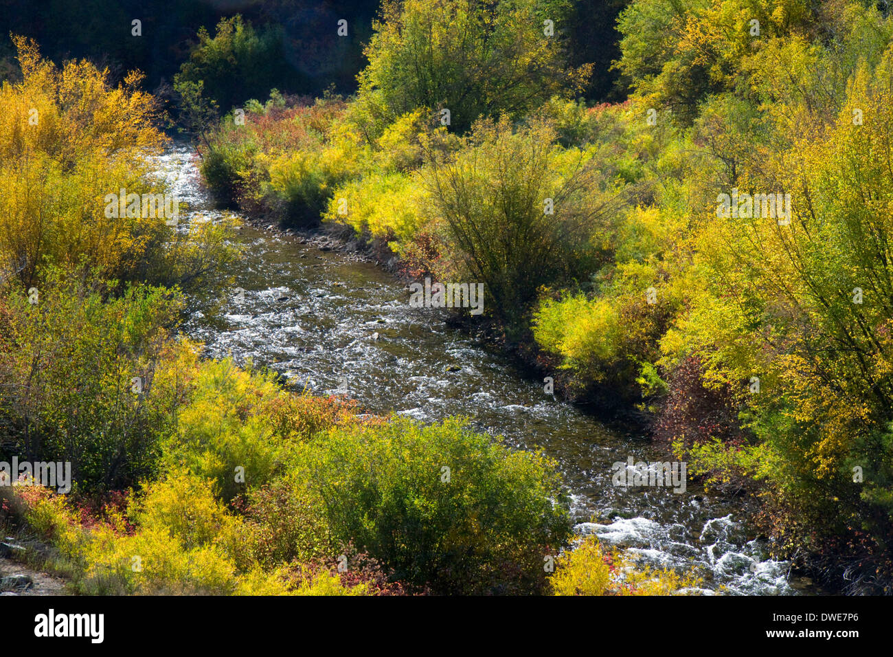 Logan river hi-res stock photography and images - Alamy