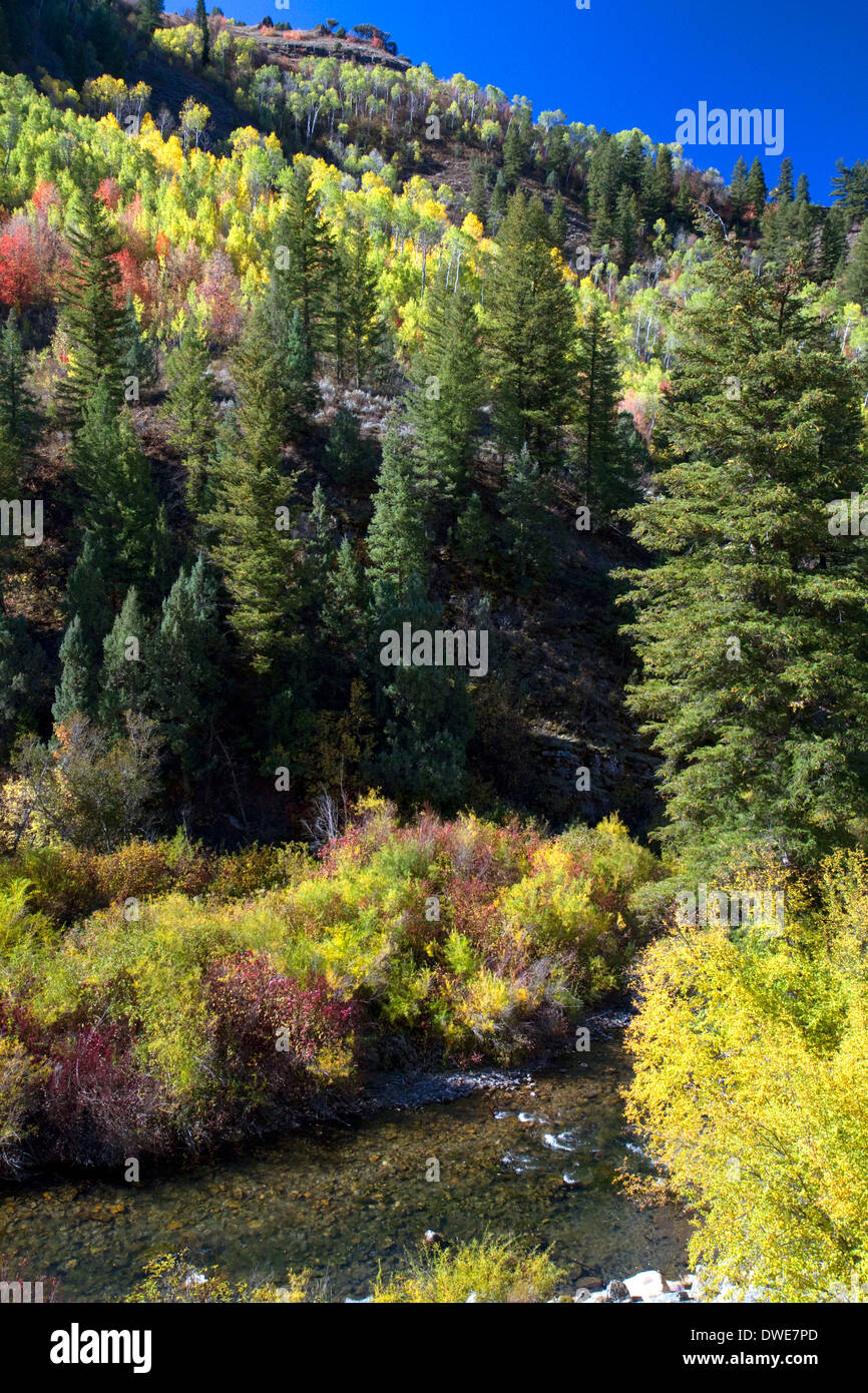 Autumn color along the Logan River in Logan Canyon, Utah, USA Stock ...