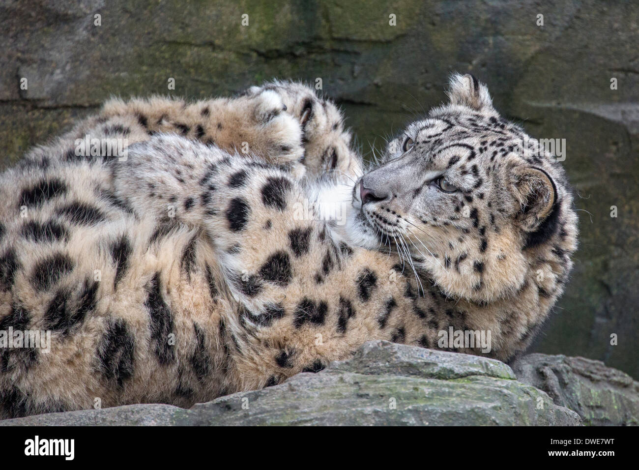 Playing with toes hi-res stock photography and images - Alamy