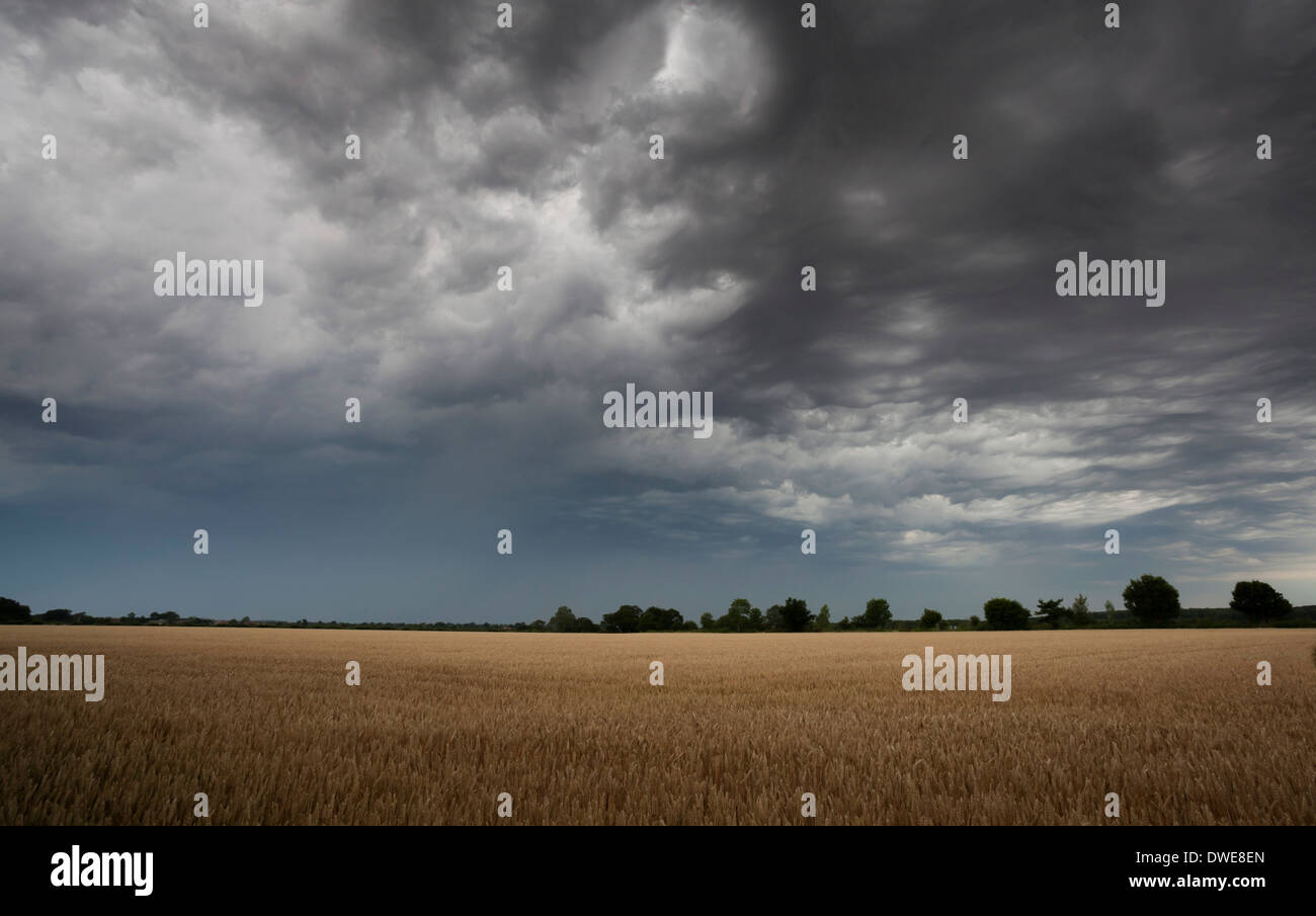 Norfolk sky storm hi-res stock photography and images - Alamy