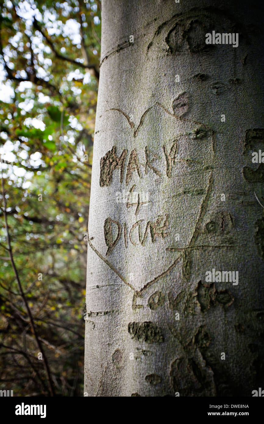 Initials carved on tree bark hi-res stock photography and images - Alamy