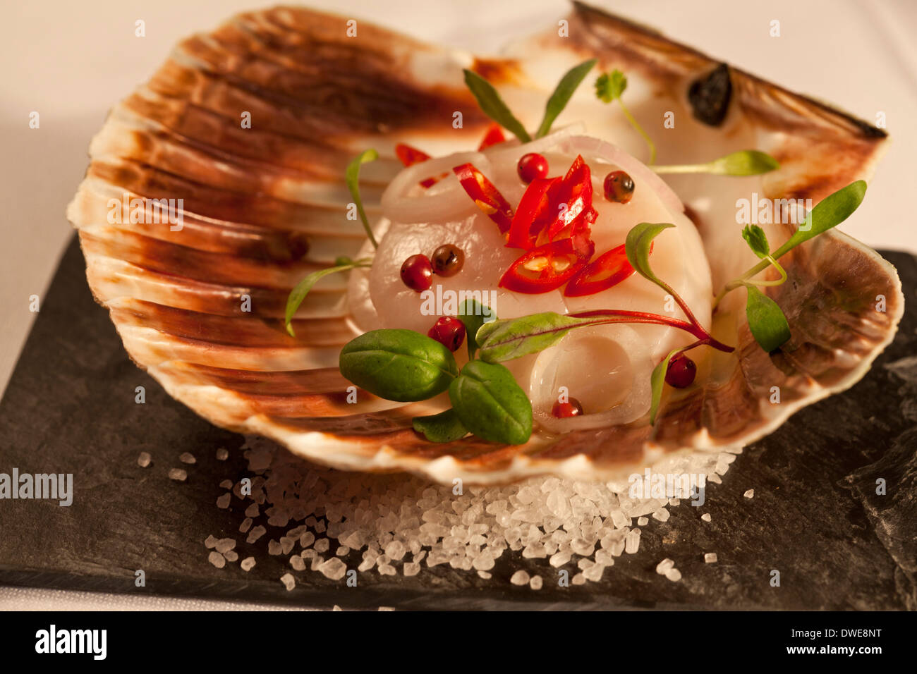 scallop in shell with chilli Stock Photo - Alamy