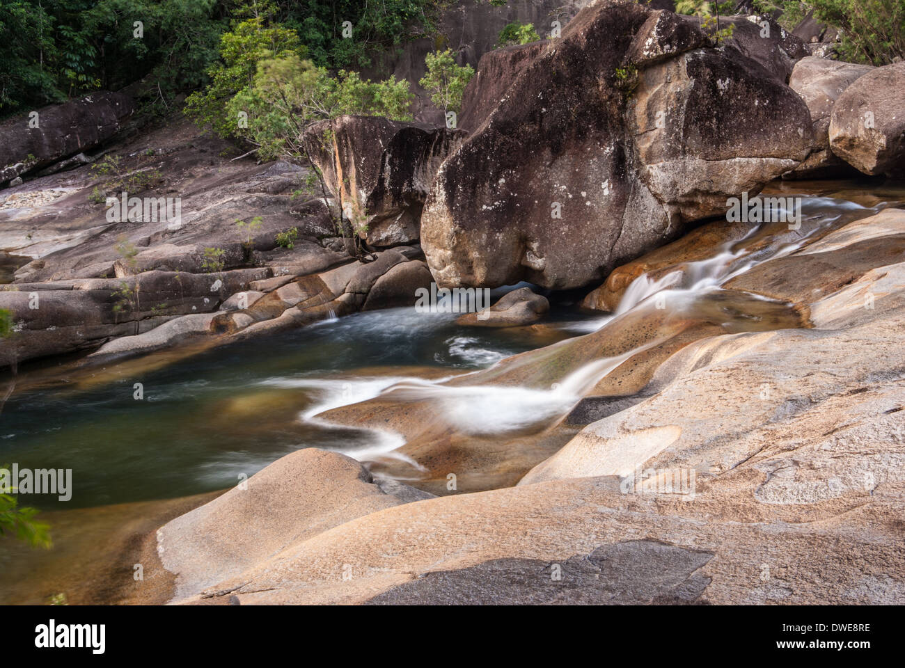 Girramay National Park High Resolution Stock Photography and Images - Alamy