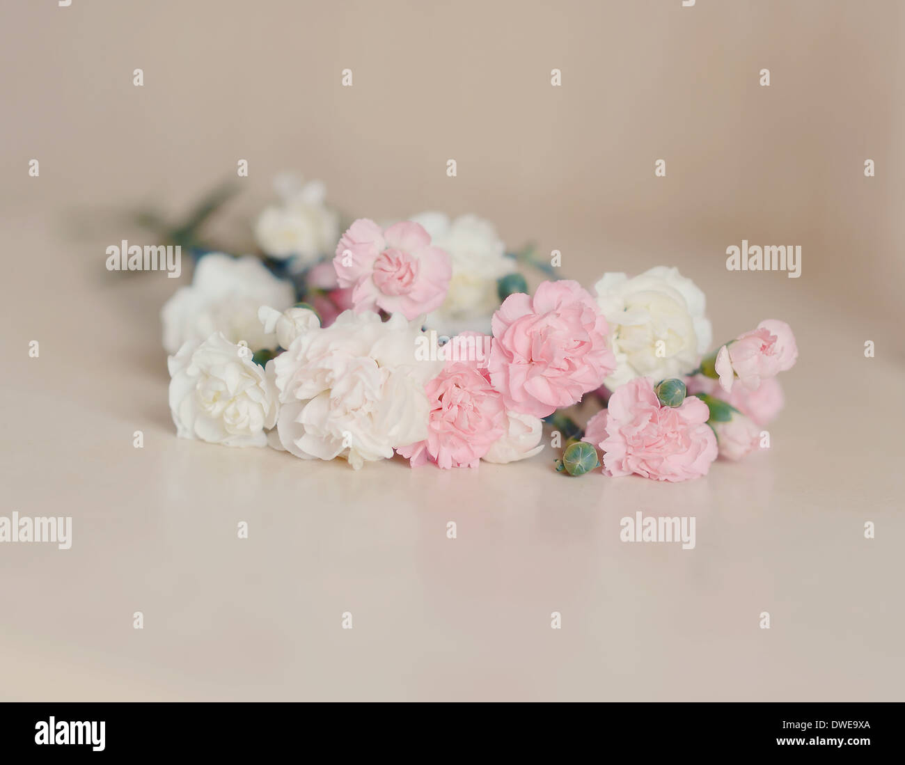 on abstract light background delicate bouquet of pink and white ...