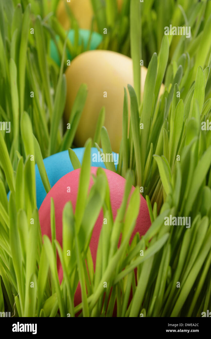 Easter eggs hiden in grass hi-res stock photography and images - Alamy