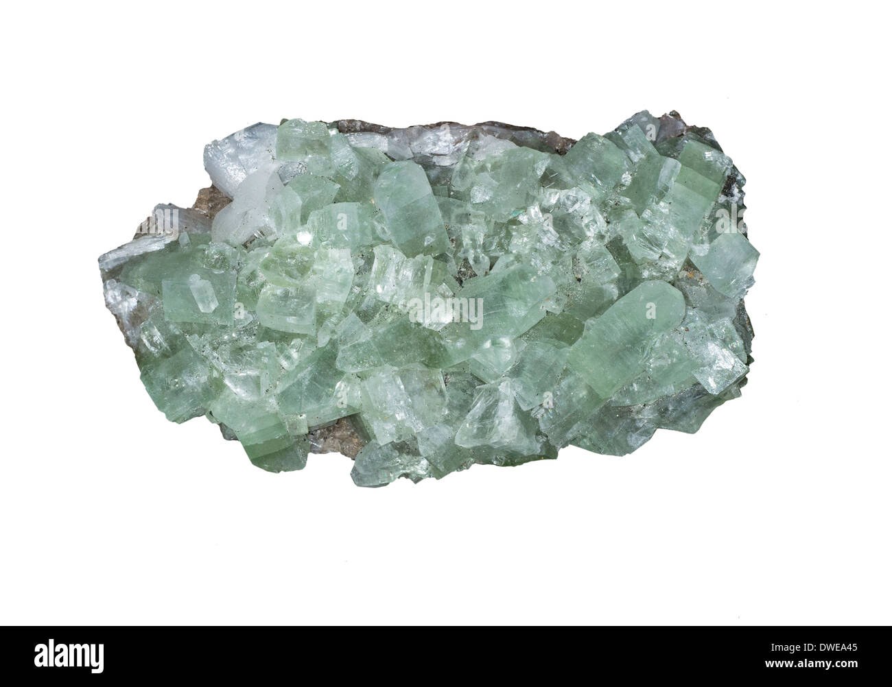 India poona hi-res stock photography and images - Alamy