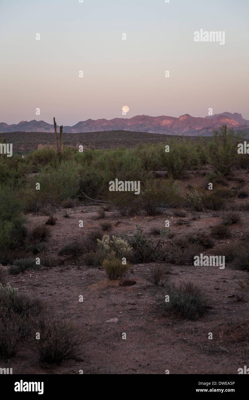 Moon over desert hi-res stock photography and images - Alamy