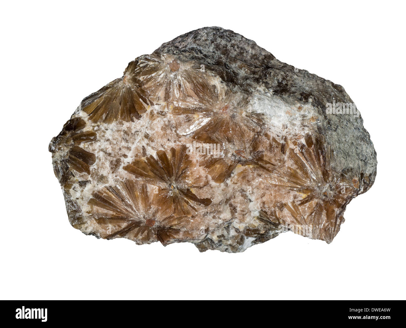 Mineral Gypsum High Resolution Stock Photography and Images - Alamy